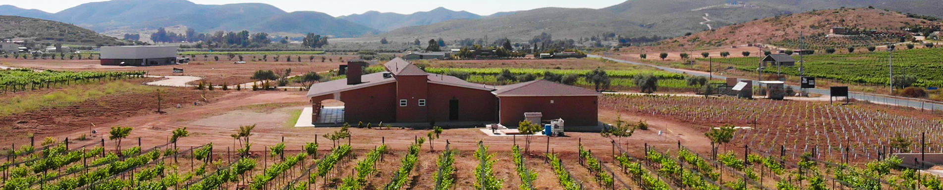 Propiedades en Valle de Guadalupe | Probien Bienes Exclusivos